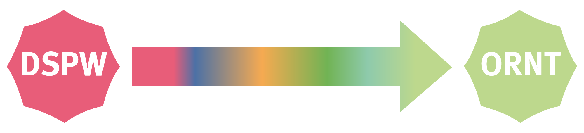 DSPW – Baumann Skin Types